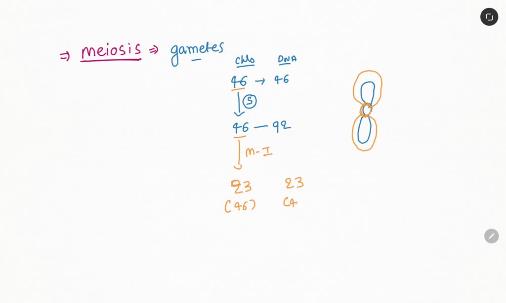 SOLVED: Mitosis and meiosis are both involved in reproduction: Asexual ...