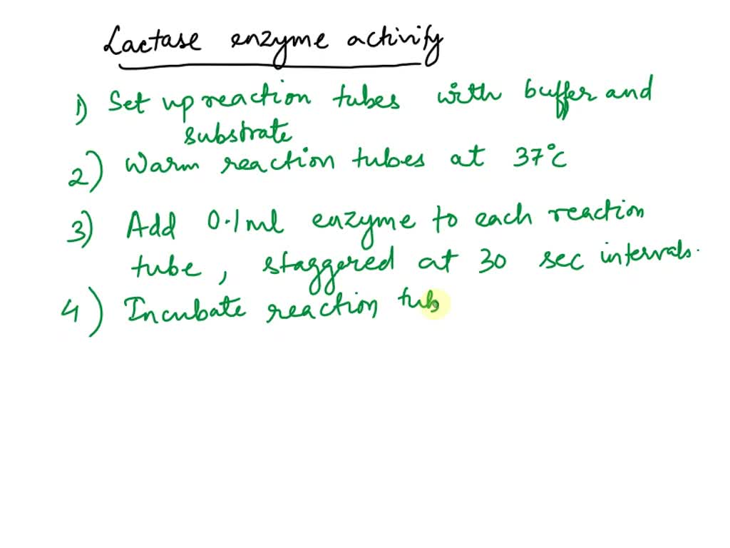 SOLVED: (8) Number the following steps of today's lactase enzyme assay ...