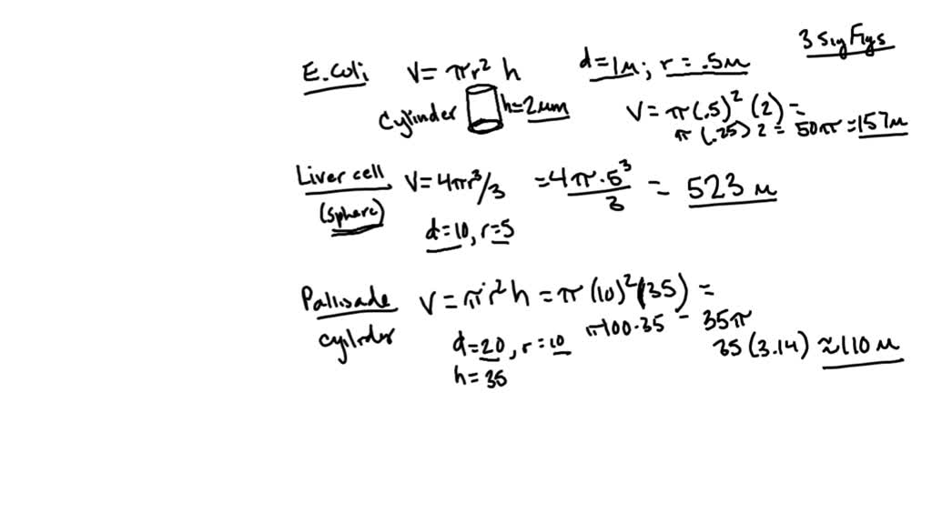 SOLVED: 1-2 QUANTITATIVE Cell Sizes To appreciate the differences in ...
