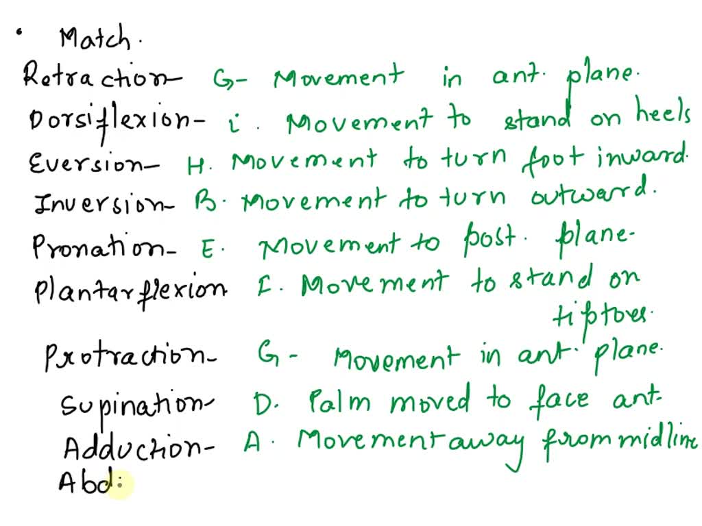 SOLVED: Inversion Eversion Protraction Retraction Elevation Depression ...