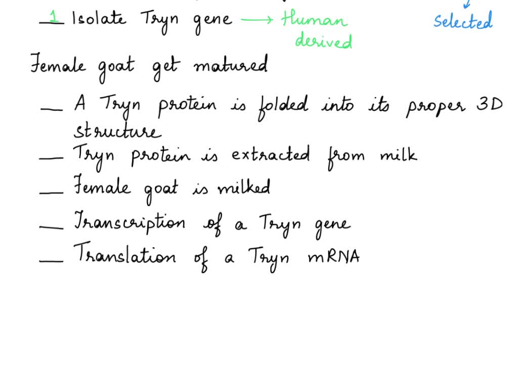 SOLVED: Put the following steps involved in making aTryn in order; for ...