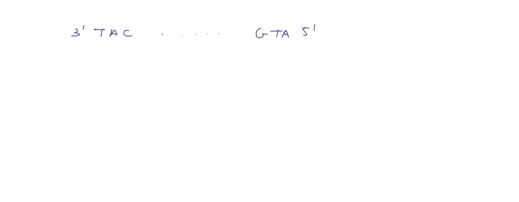 Solved A Double Stranded Dna Molecule With The Following Sequence Produces A Polypeptide That