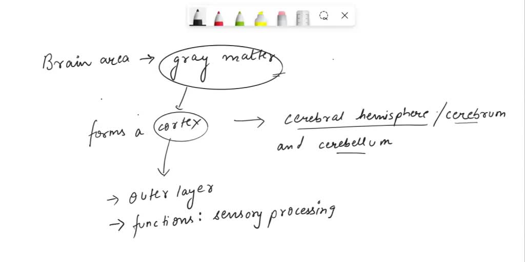 SOLVED: 5. In his research, Michael Posner has emphasized the ...