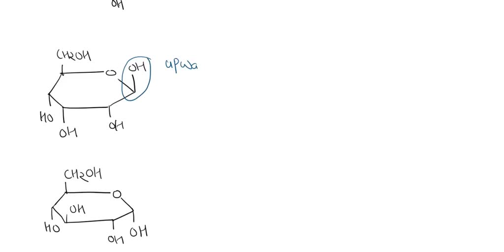 SOLVED: The disaccharide isomaltose shown below is a product of the ...