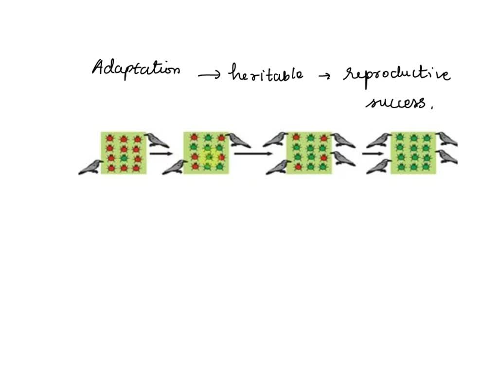 SOLVED: Complete the following paragraph to explain the importance of ...