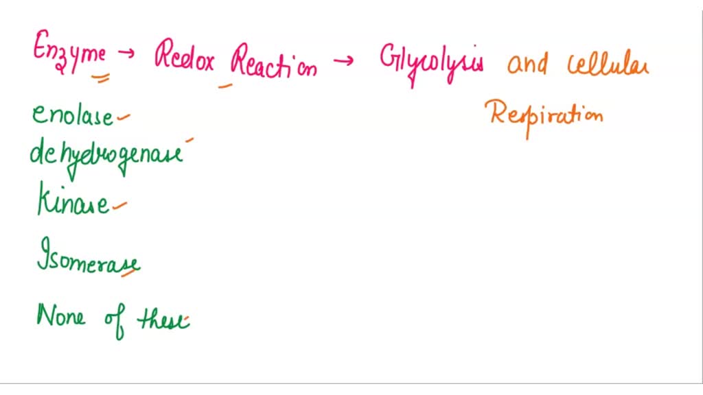 SOLVED: An enzyme that is involved in redox reactions during glycolysis ...