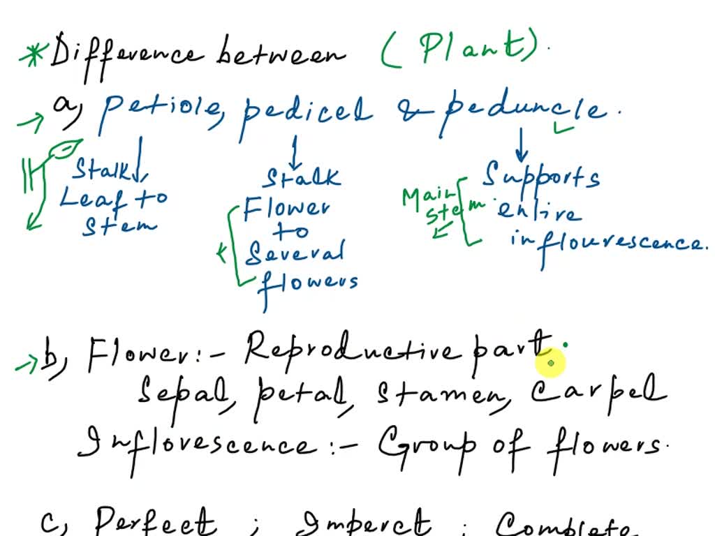 SOLVED: Can you explain the difference between a petiole, a pedicel ...