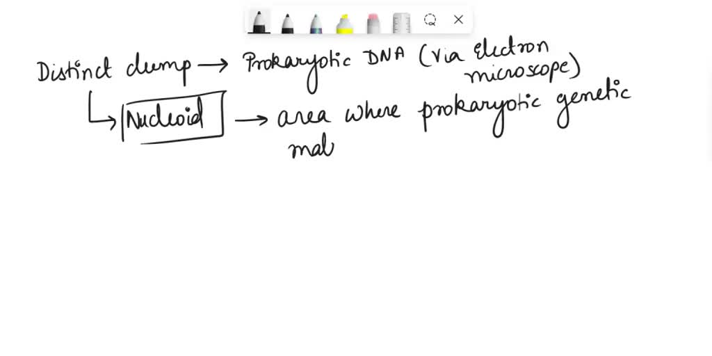 SOLVED: A distinct clump of prokaryotic DNA observed via electron ...
