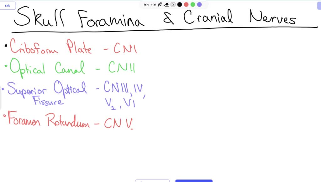 SOLVED: 3. Label the picture of the model: Spinal cord section on ...