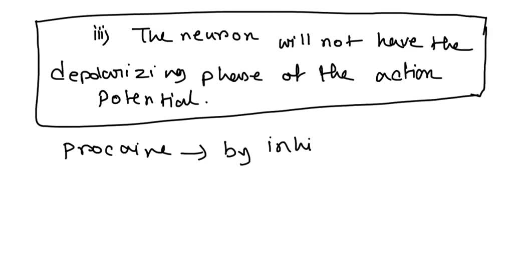 SOLVED: Procaine (Novocain) is a drug that blocks voltage-gated Na+ ...