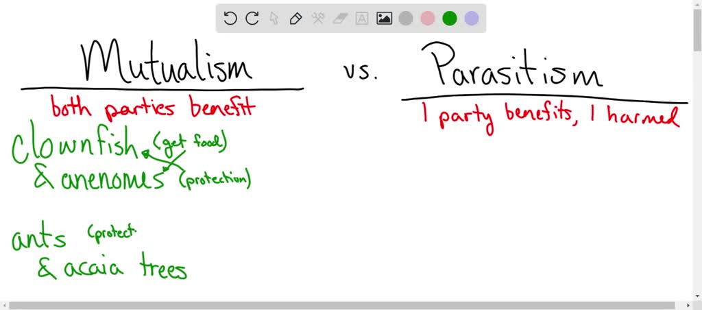 SOLVED: Text: Drag each label to the correct location on the chart ...
