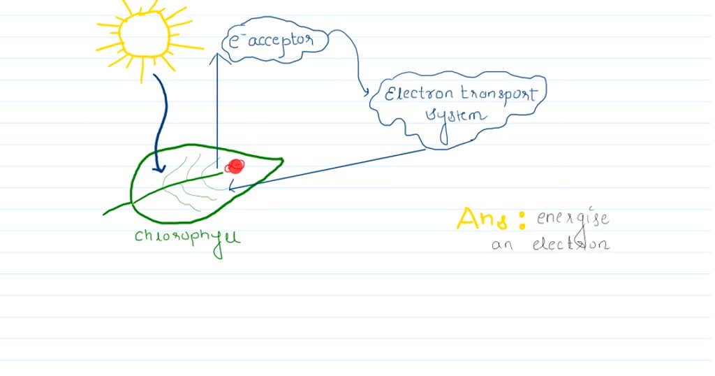 SOLVED: What is the energy of a photon first used to do in ...
