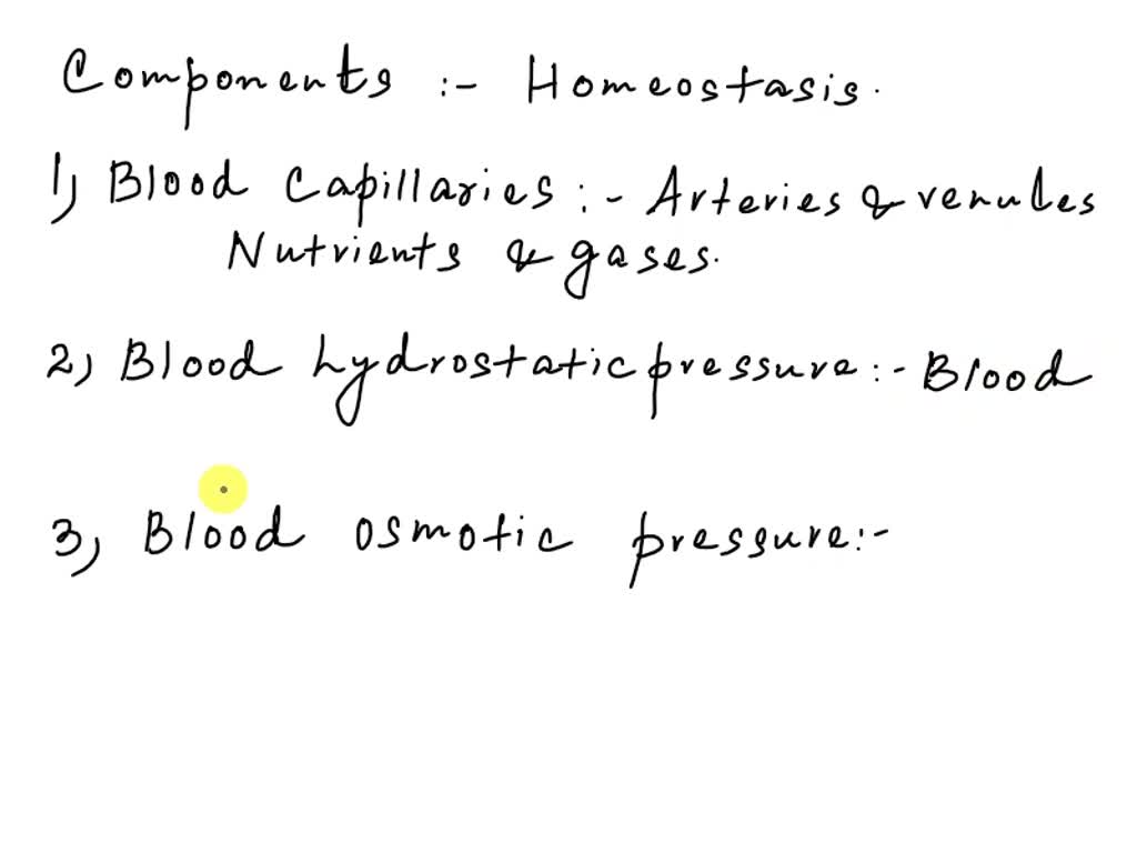 SOLVED: Using the following terms explain how the body maintains ...