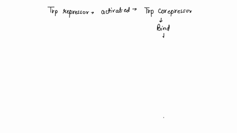 Question 17 8 pts how are the actions of lac repressor and...