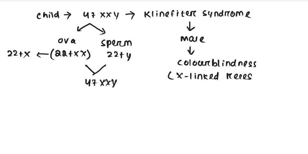 SOLVED: A karyotype shows that a child has Klinefelter syndrome (47,XXY ...
