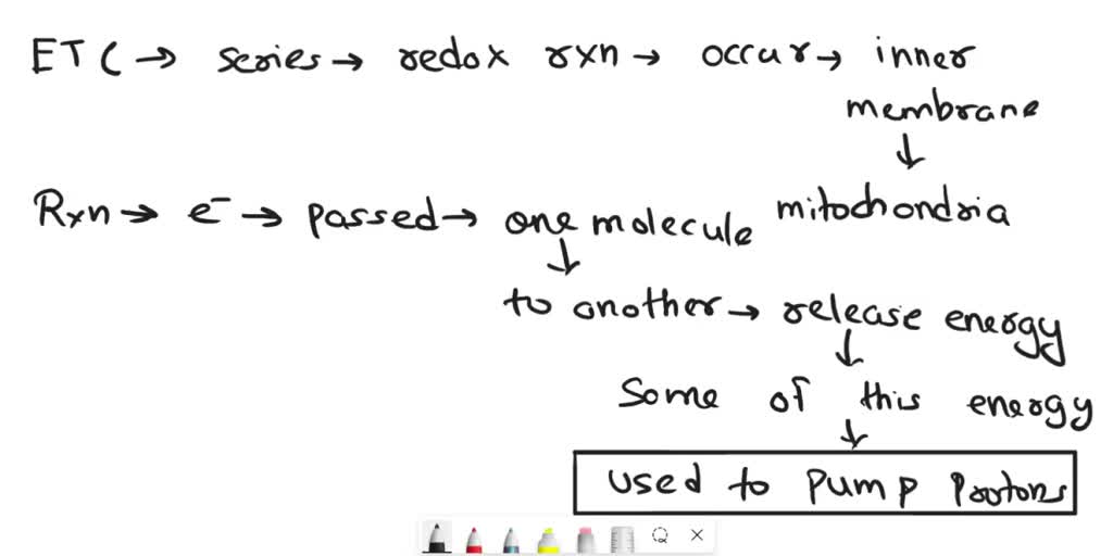 SOLVED: Oxygen combines with electrons and H+ (hydrogen ions) at the ...