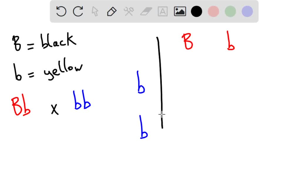 SOLVED: Complete the following Punnett square illustrating a dihybrid ...