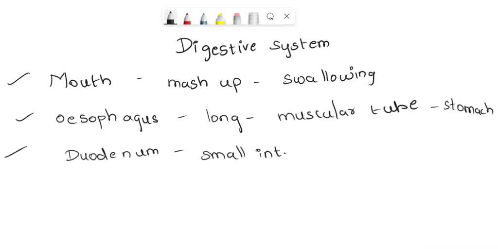 SOLVED: Select the correct sequence of structures through which food ...