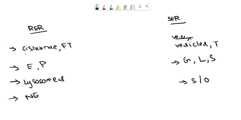 SOLVED How Can You Tell The Difference Between Rough ER From Smooth ER solved-how-can-you-tell-the-difference-between-rough-er-from-smooth-er