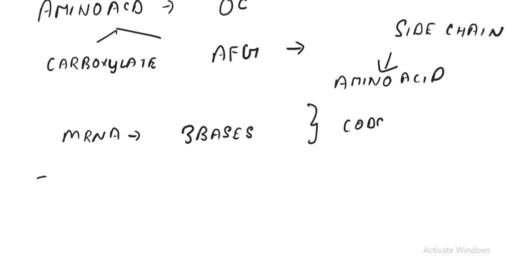 SOLVED: What amino acid is coded for by the mRNA codon sequence 5 CAU-3 ...