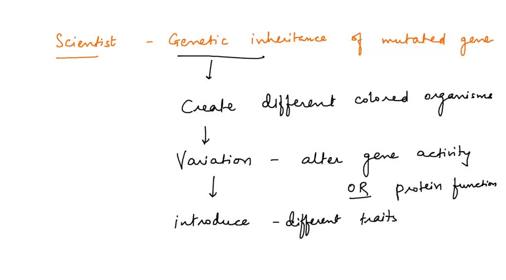 SOLVED: A scientist concludes that genetic inheritance of a mutated ...
