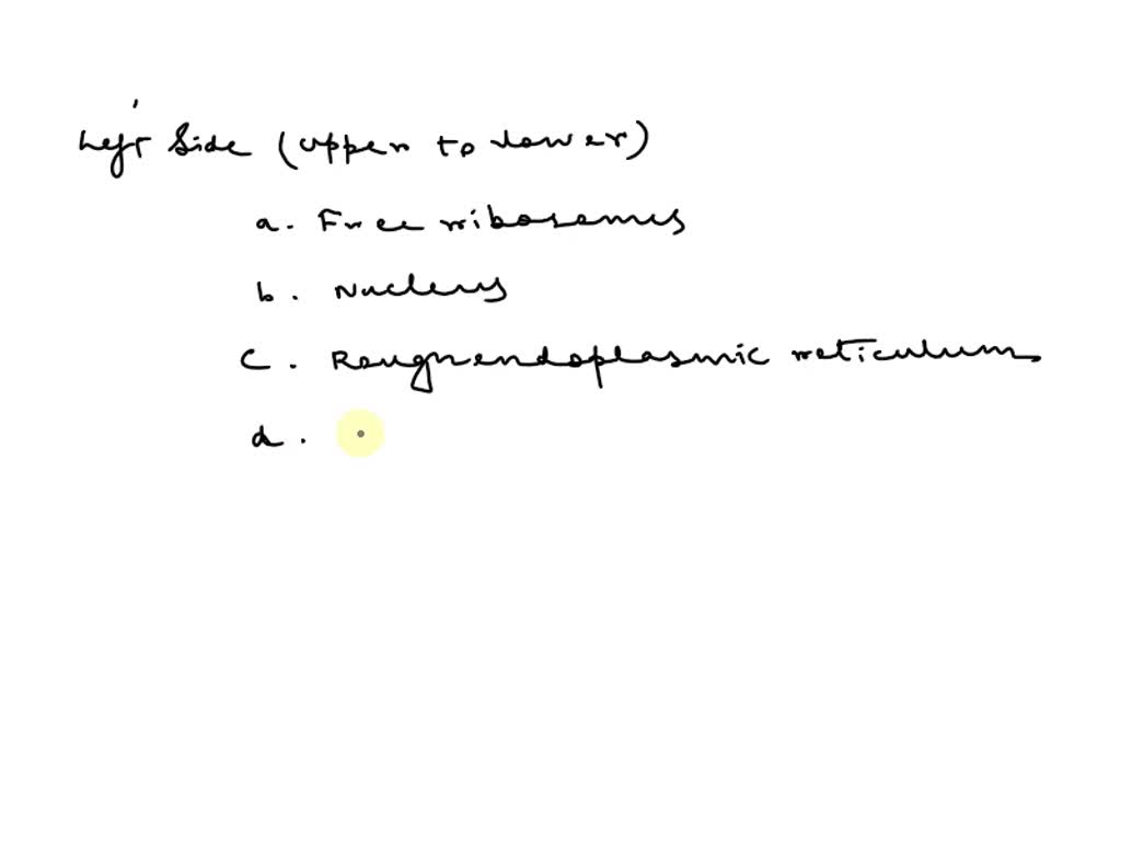 SOLVED: Click and drag the parts of the cell to thelr location on the ...