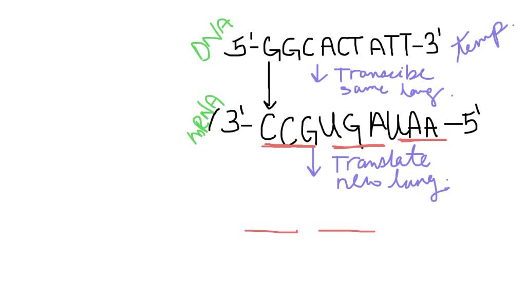 Transcribe and then translate the following section of DNA: 5 ...
