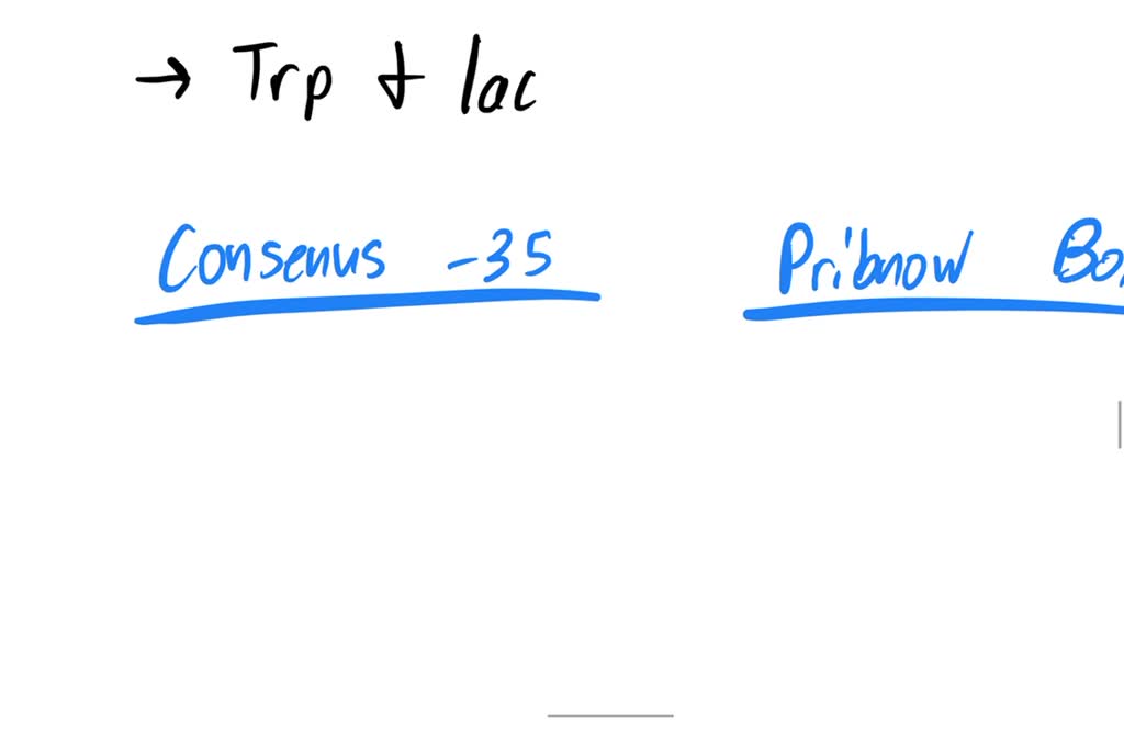 SOLVED: The tac promoter, an artificial promoter made from portions of ...