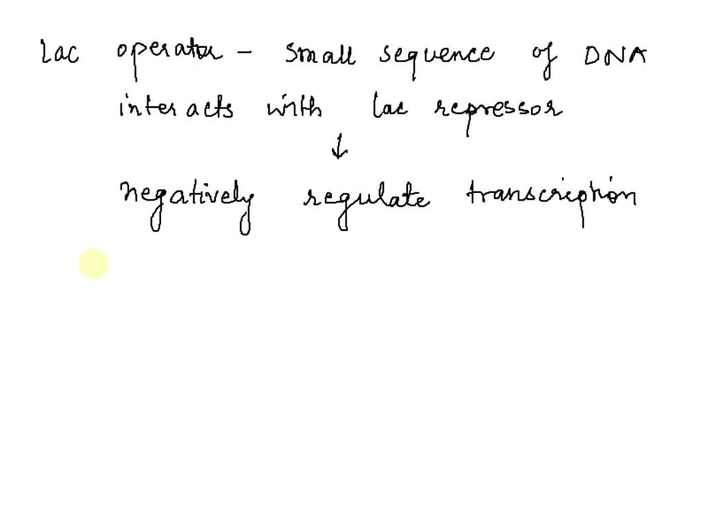 SOLVED: What happens when the repressor protein or the operator ...