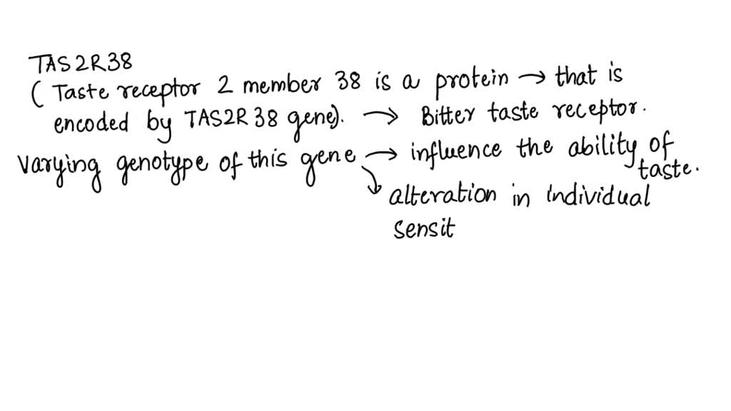 Does the GC polymorphism in the TAS2R38 gene cause an amino acid change ...