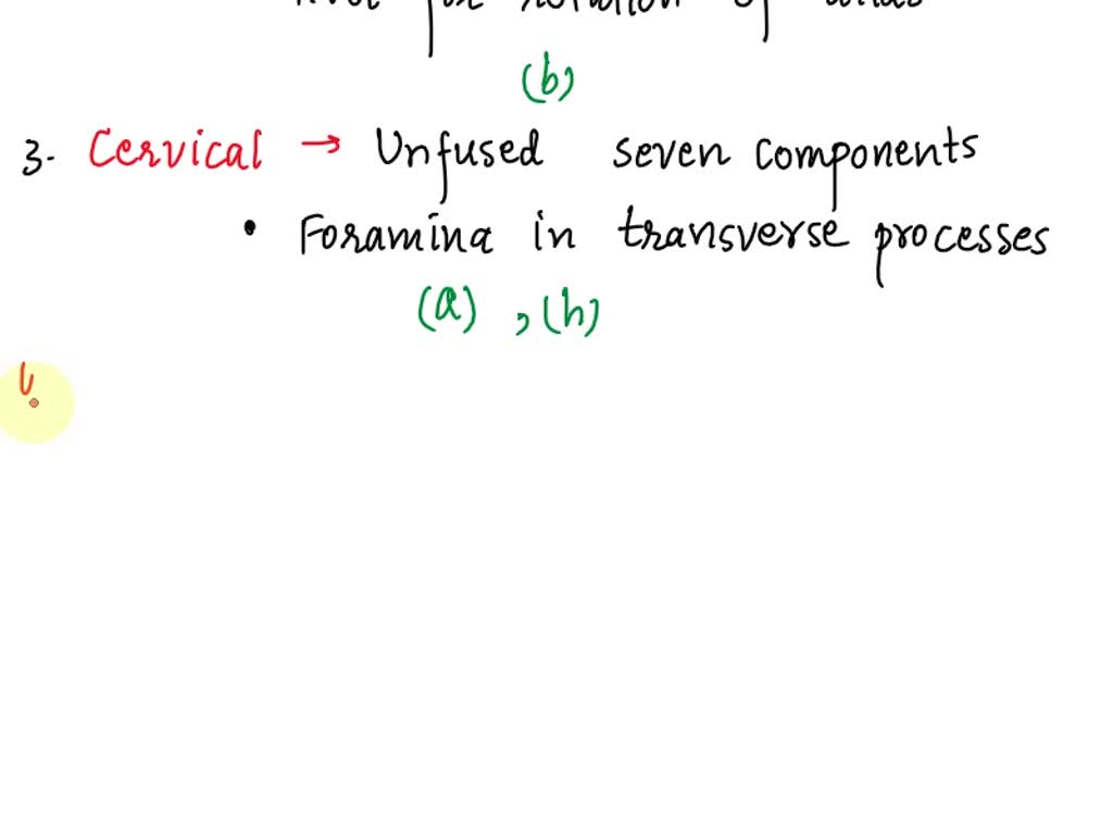 SOLVED: Please identify the following surface anatomy and landmarks ...