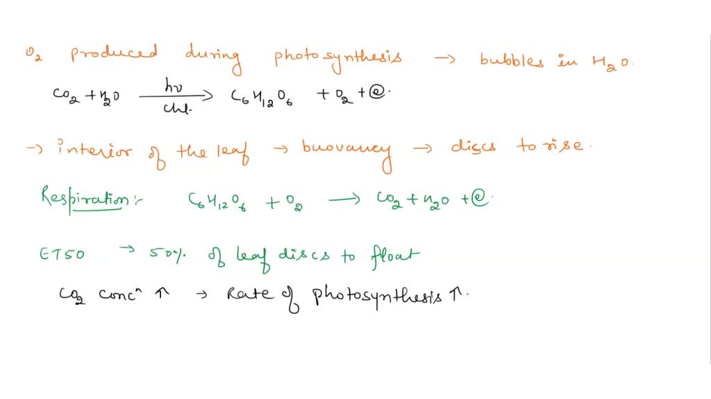 SOLVED: Consider that you are 'doing the floating leaf disk experiment to examine photosynthesis ...