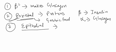 QUESTION 8 Which of the following cell types is incorrectly...