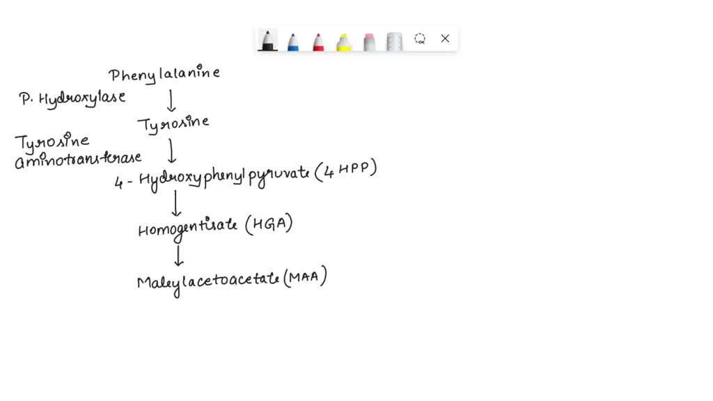 SOLVED: Homogentisic acid is an intermediate compound in the ...