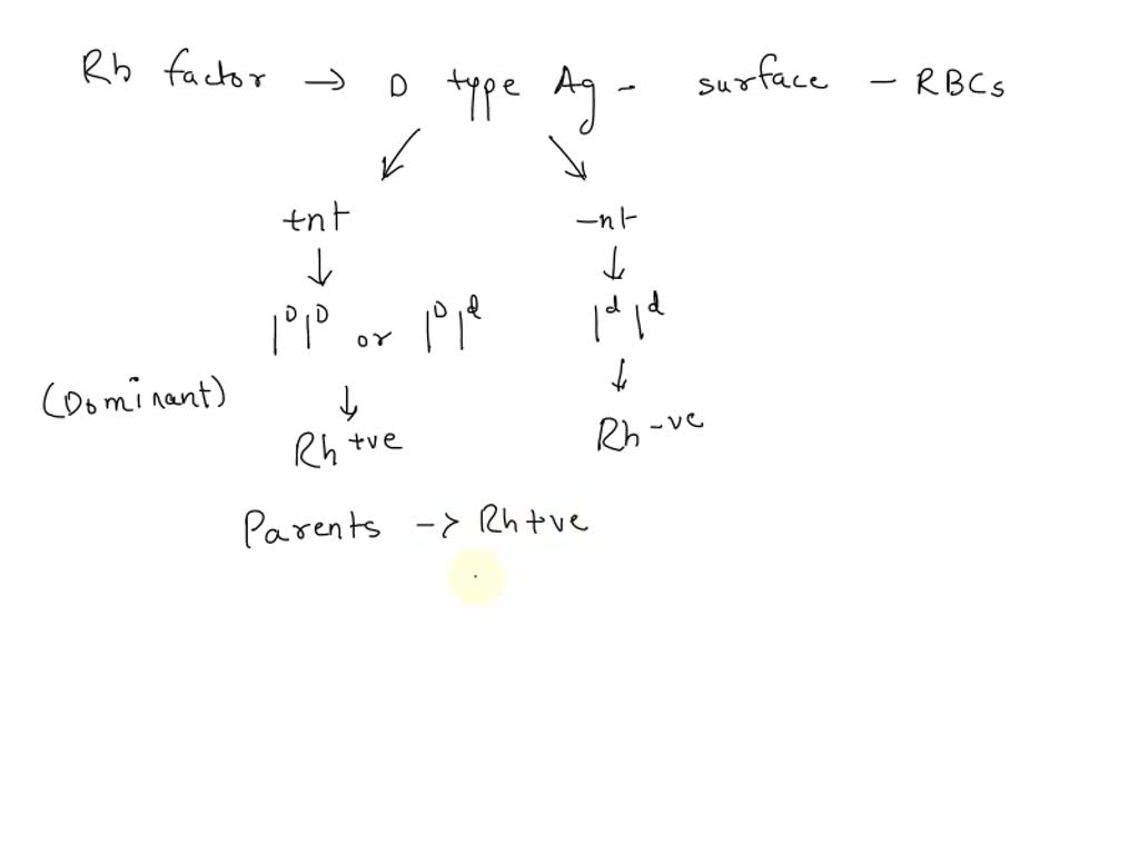 SOLVED: Rh factor is due to an antigen also found on the red blood ...