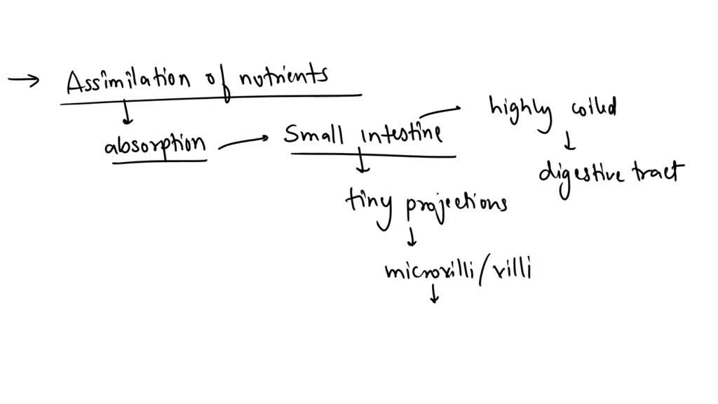 SOLVED: where does assimilation occur ? a. in the liver. b. in every ...