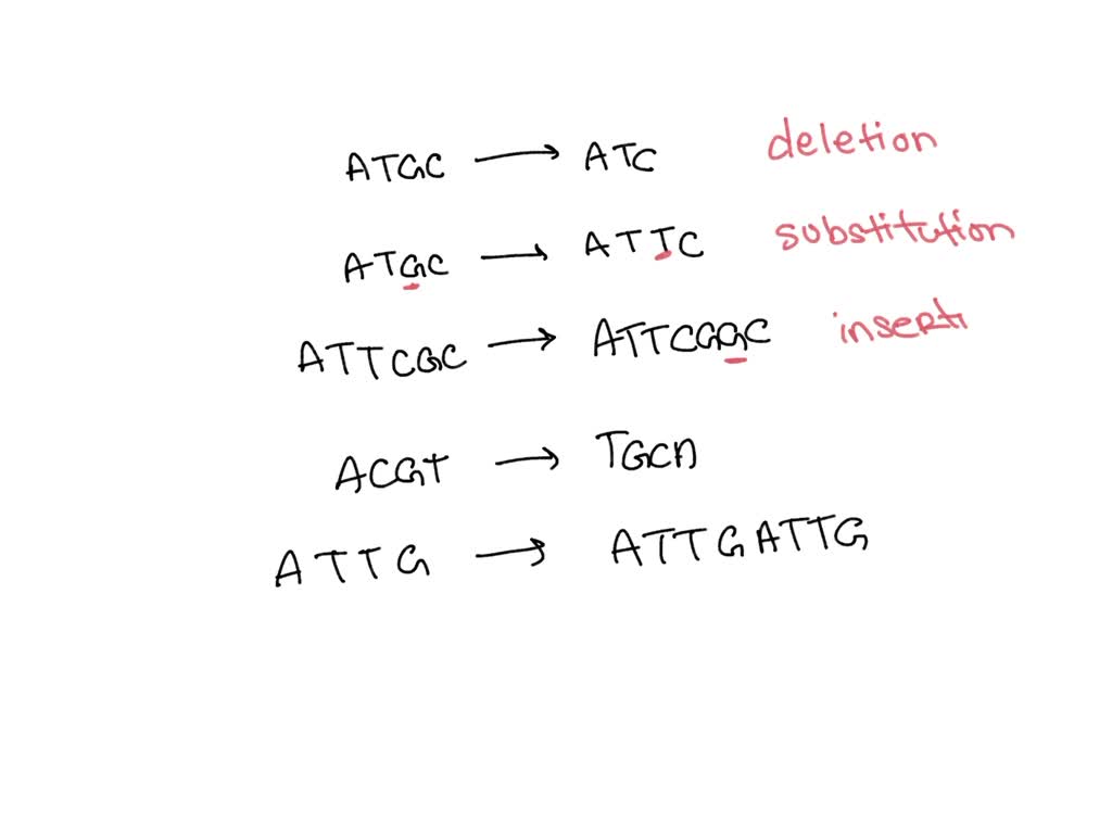 SOLVED: 'PLS HELP ITS DNA MUTATIONS AND IDK WHAT TO DO The original ...
