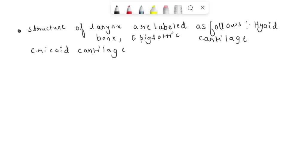 Extrinsic Laryngeal Muscles Diagram Extrinsic Laryngeal Muscles Diagram
