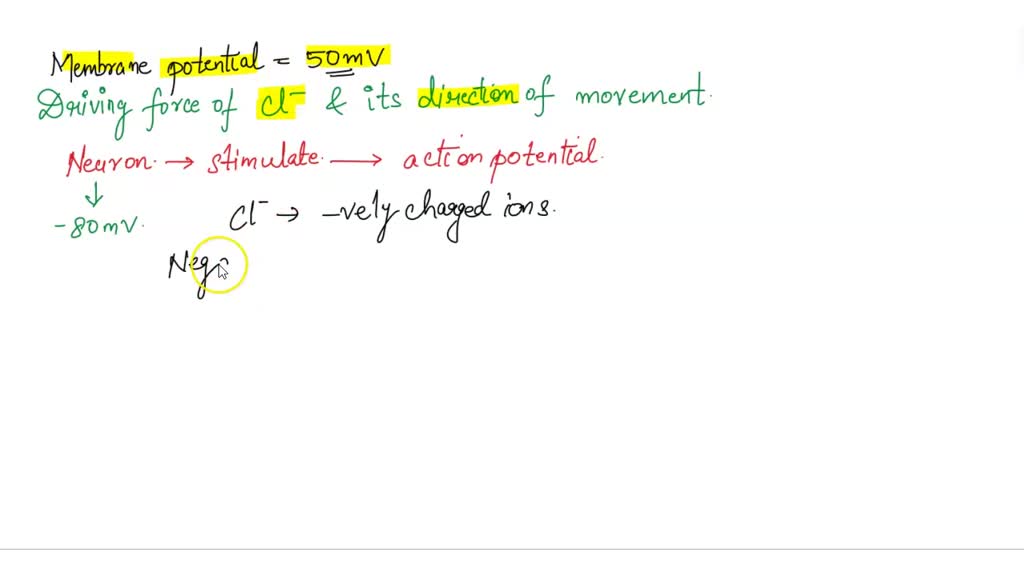 SOLVED: If the neuron is stimulated such that its membrane potential ...