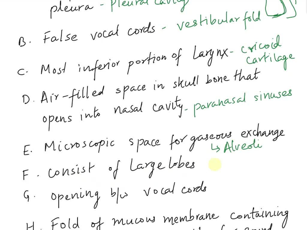 SOLVED: 'Match the Terms with their descriptions The potential space ...