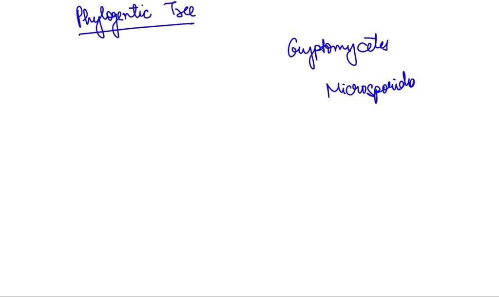 SOLVED: Phylogenetic tree can best be used to support the claim that ...