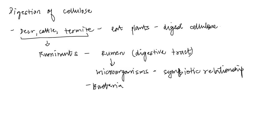 SOLVED: 'Cellulose Is the main component of cell walls and wood. It Is ...