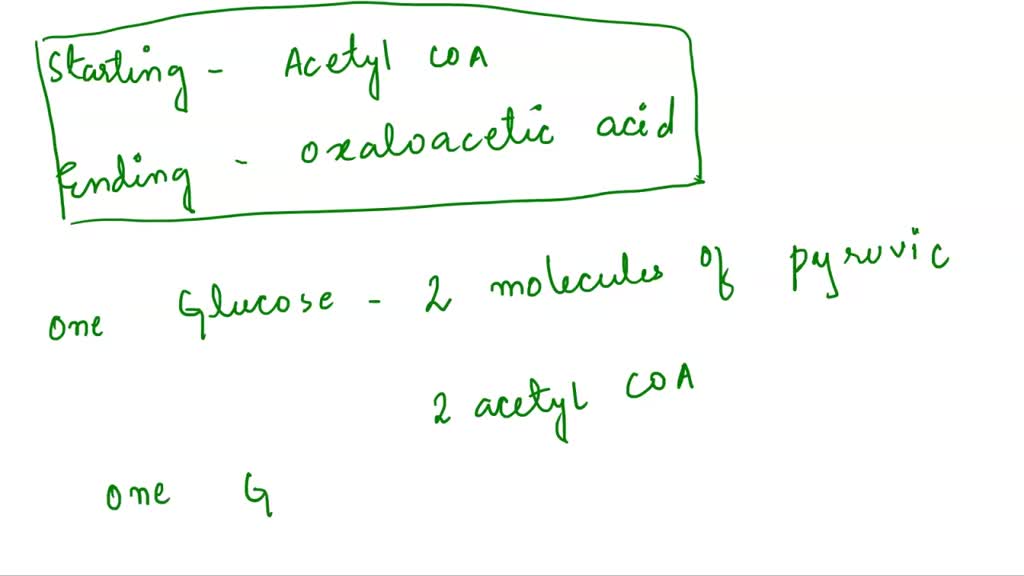 Solved Iii Krebs Cycle Citric Acid Cycle The Acetyl Co A Is Roved
