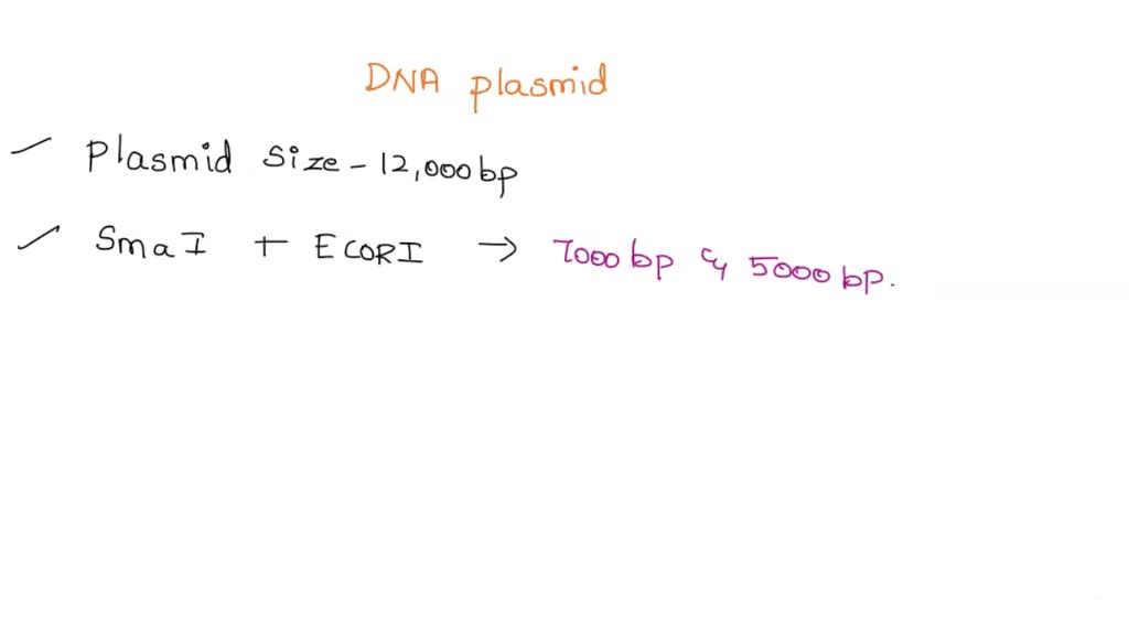 Construct a restriction map of a circular DNA plasmid, using the following data. Your map should ...