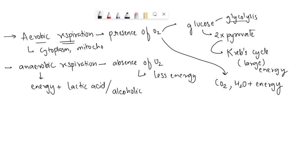 SOLVED: Compare and contrast the aerobic and anaerobic processes of ... SOLVED: Compare and contrast the aerobic and anaerobic processes of ...