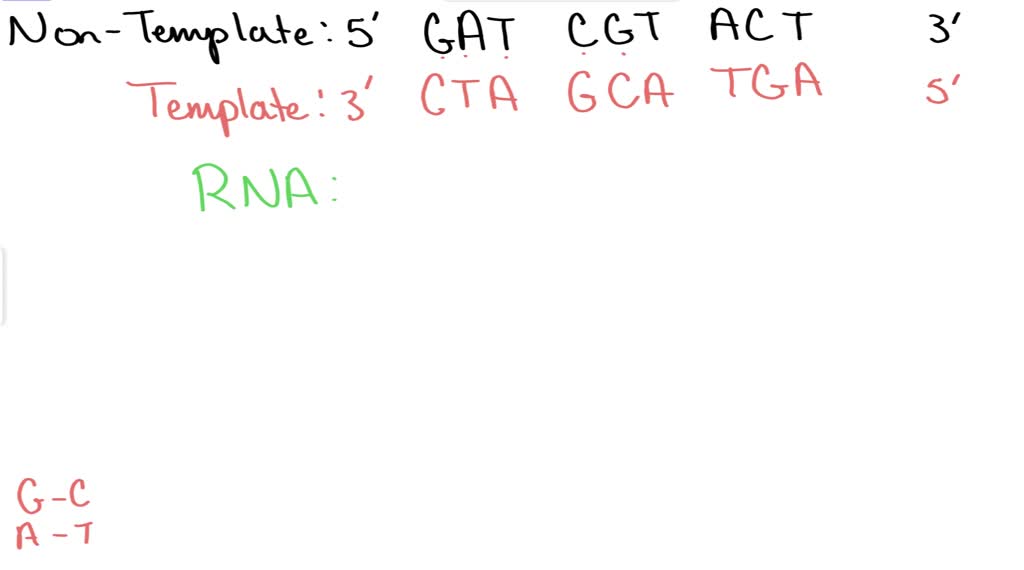 Question 28 of 30 Using the codon wheel below, identify which of the ...