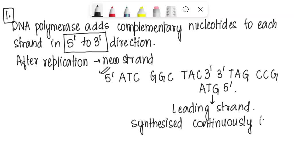 SOLVED: Replicate the following segment of DNA 5’ ATC GGC TAC GTT CAC 3 ... SOLVED: Replicate the following segment of DNA 5’ ATC GGC TAC GTT CAC 3 ...