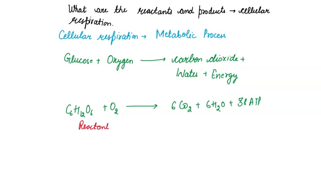 SOLVED In A Chemical Process Of Cellular Respiration What Is Are The