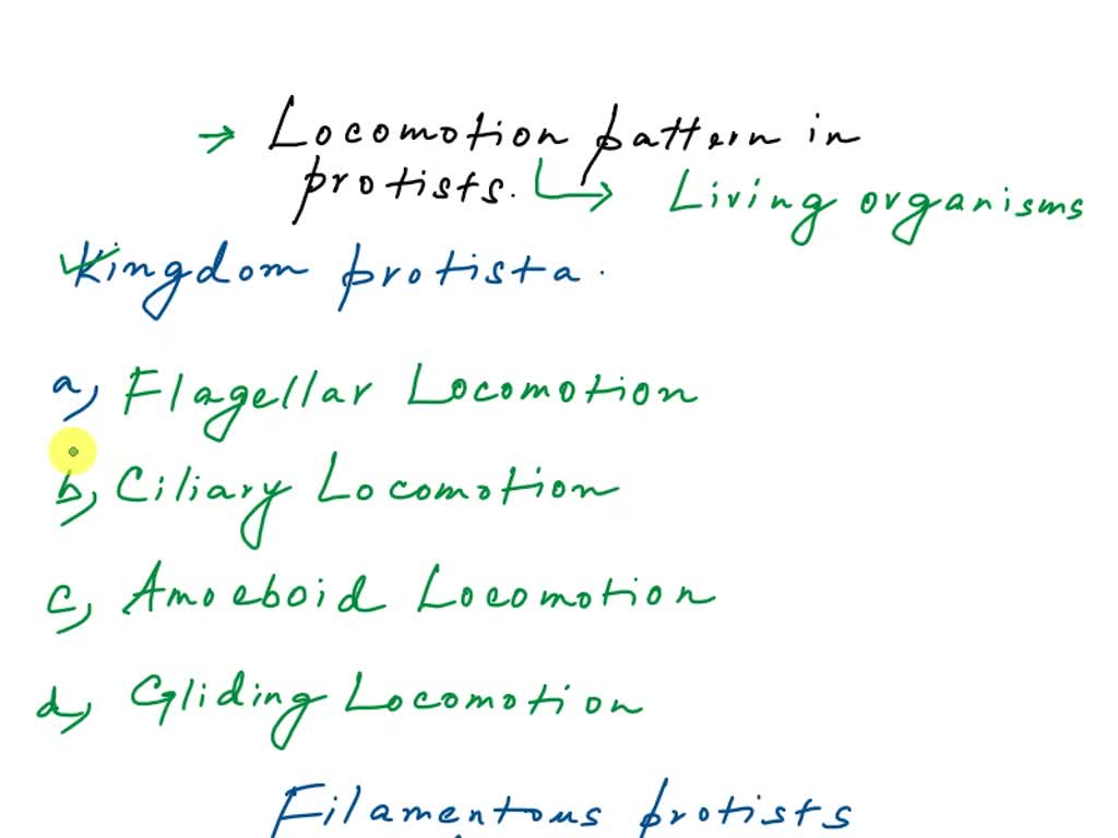 SOLVED: Tissue and Skin EXPERIMENT 4: SKIN RECEPTORS Data Tables Table ...