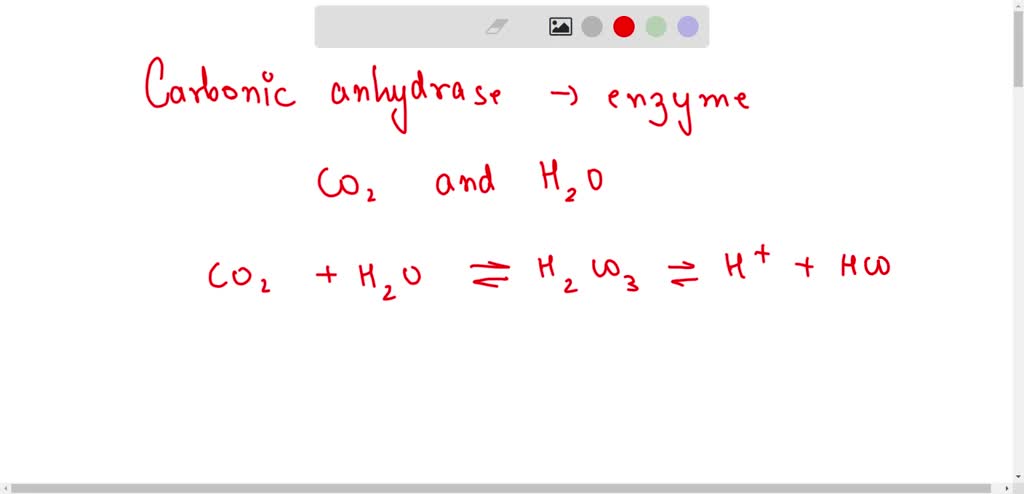 SOLVED: Carbonic anhydrase catalyzes the reaction: H2CO3 â†” H+ + HCO3-